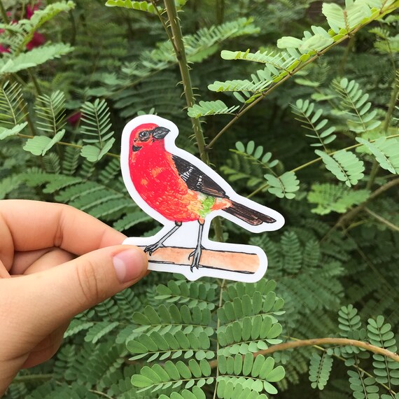 Flame-colored Tanager Sticker Red Bird Sticker Laptop Decal | Etsy