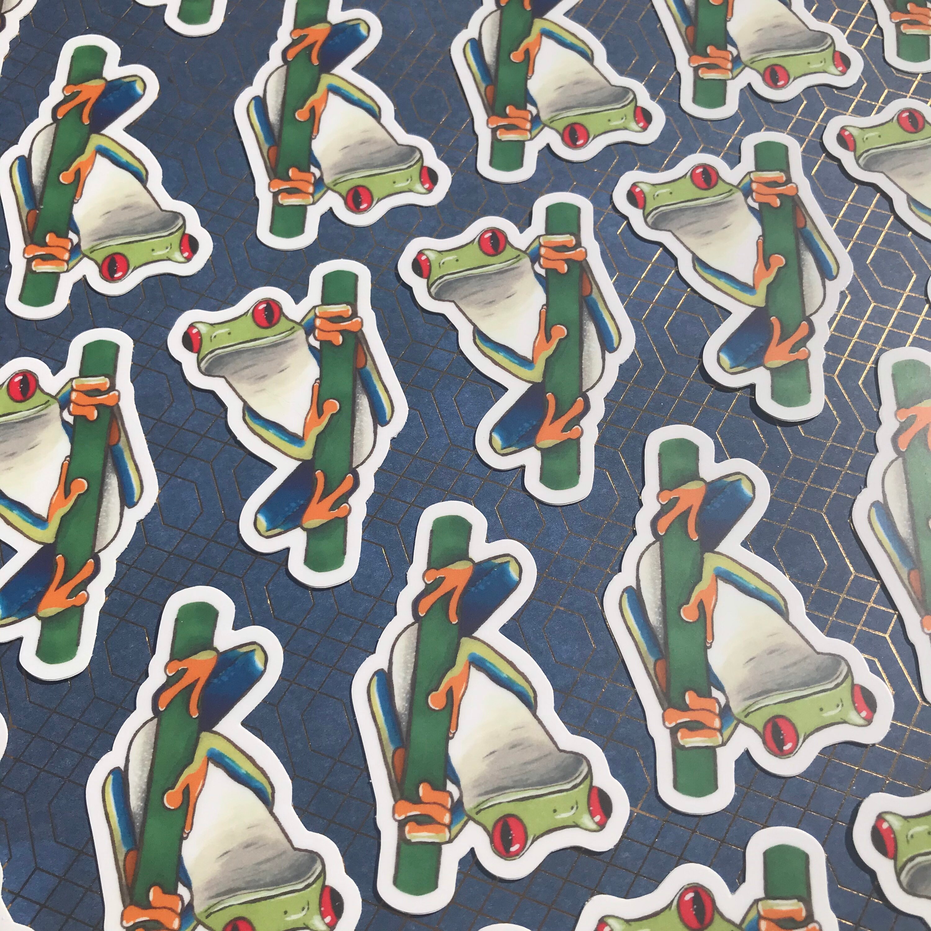 Red Eyed Tree Frog Sticker, Rain Forest Frog, Deal, Bumper Sticker - Etsy