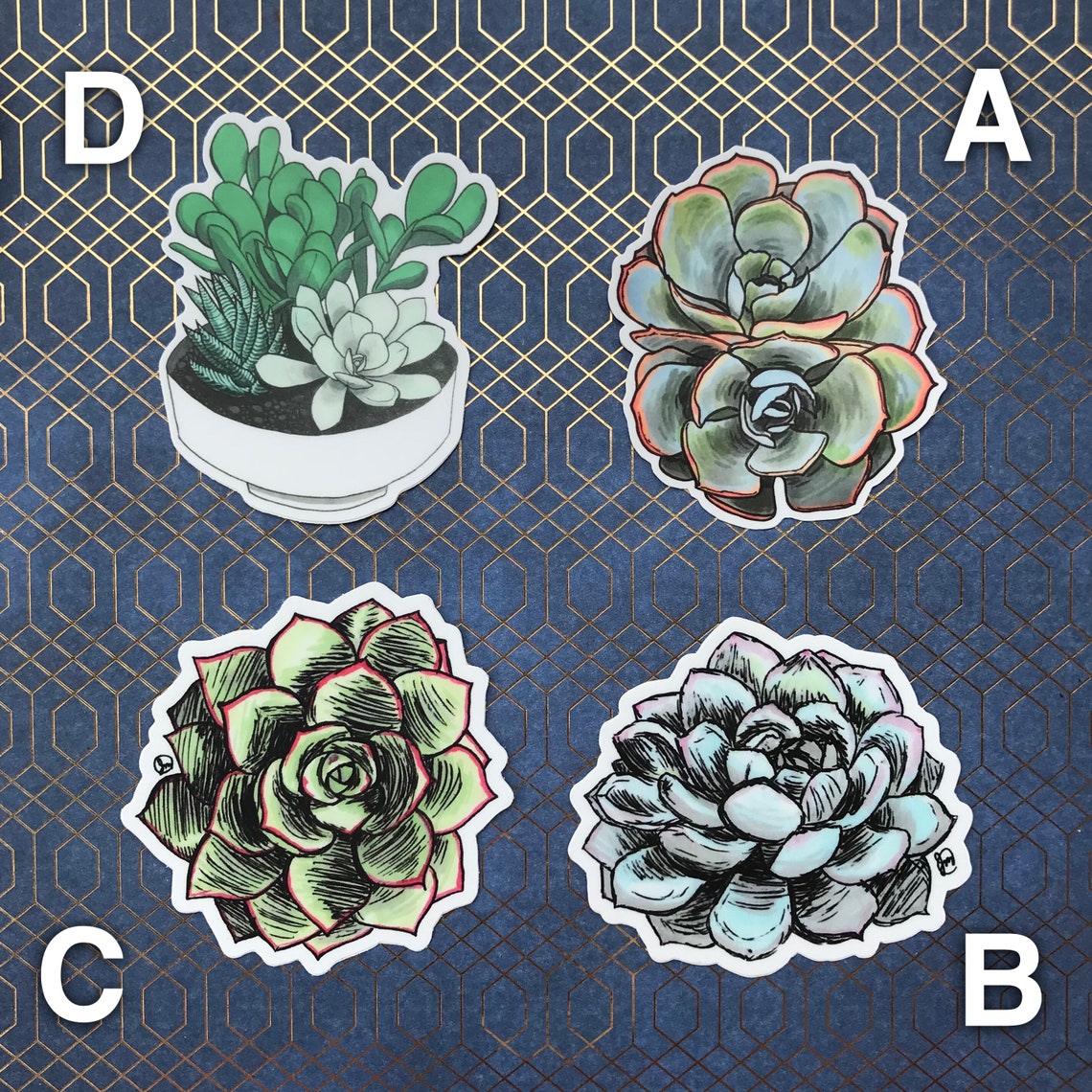 Succulent Sticker Pack Plant Decals Potted Plants - Etsy