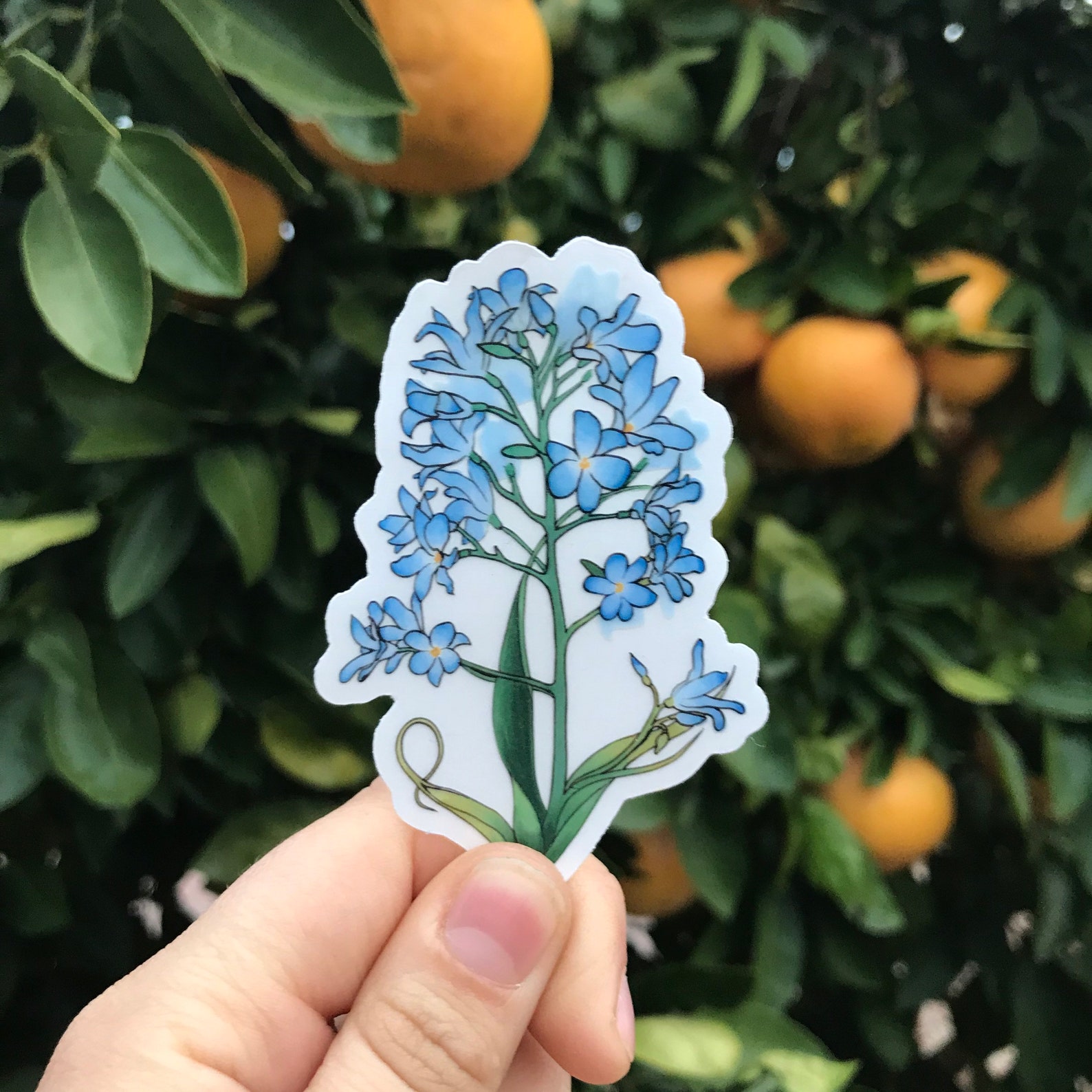 Blue Flower Sticker Clear Sticker | Etsy