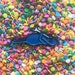 Red Bird Records and Blue Cat Records Enamel Pin Set! - Etsy