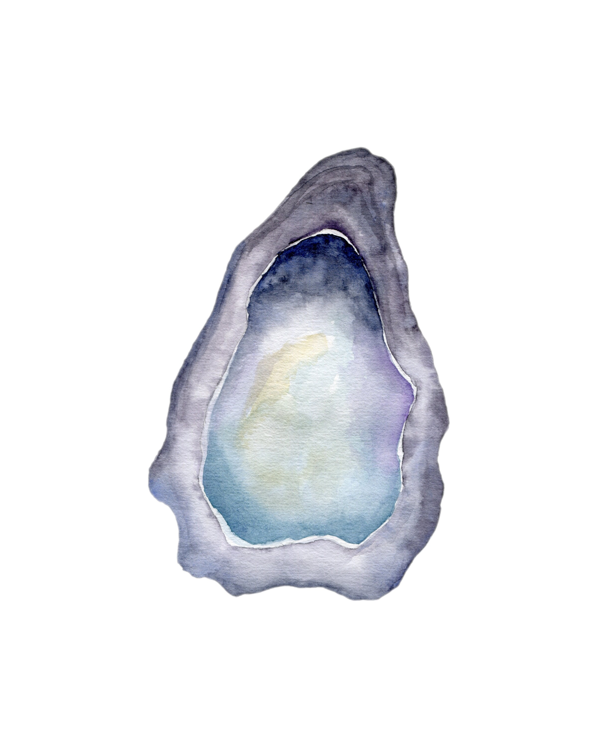 Printable Oyster Shell Watercolor Painting Seashell Poster - Etsy