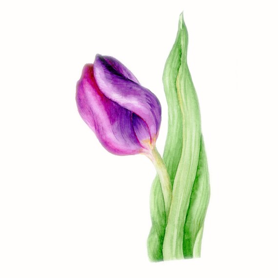 Tulip flower instant download print Ukraine artist Tulip Floral ...