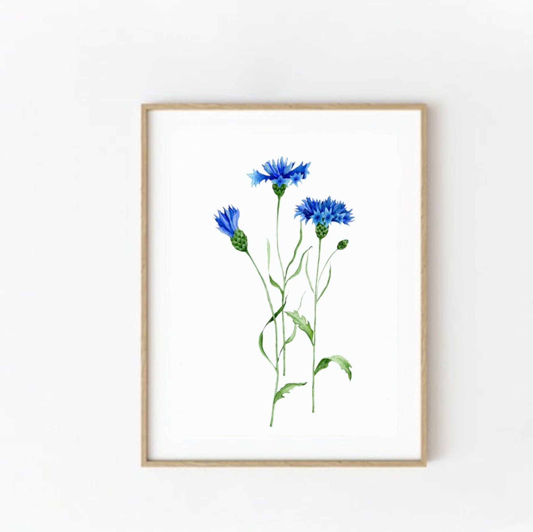 Cornflower Painting