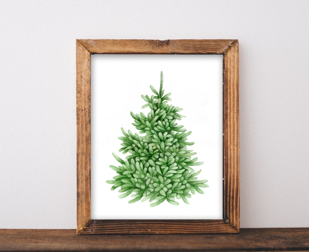 Printable Watercolor Christmas Tree Spruce Print Digital - Etsy