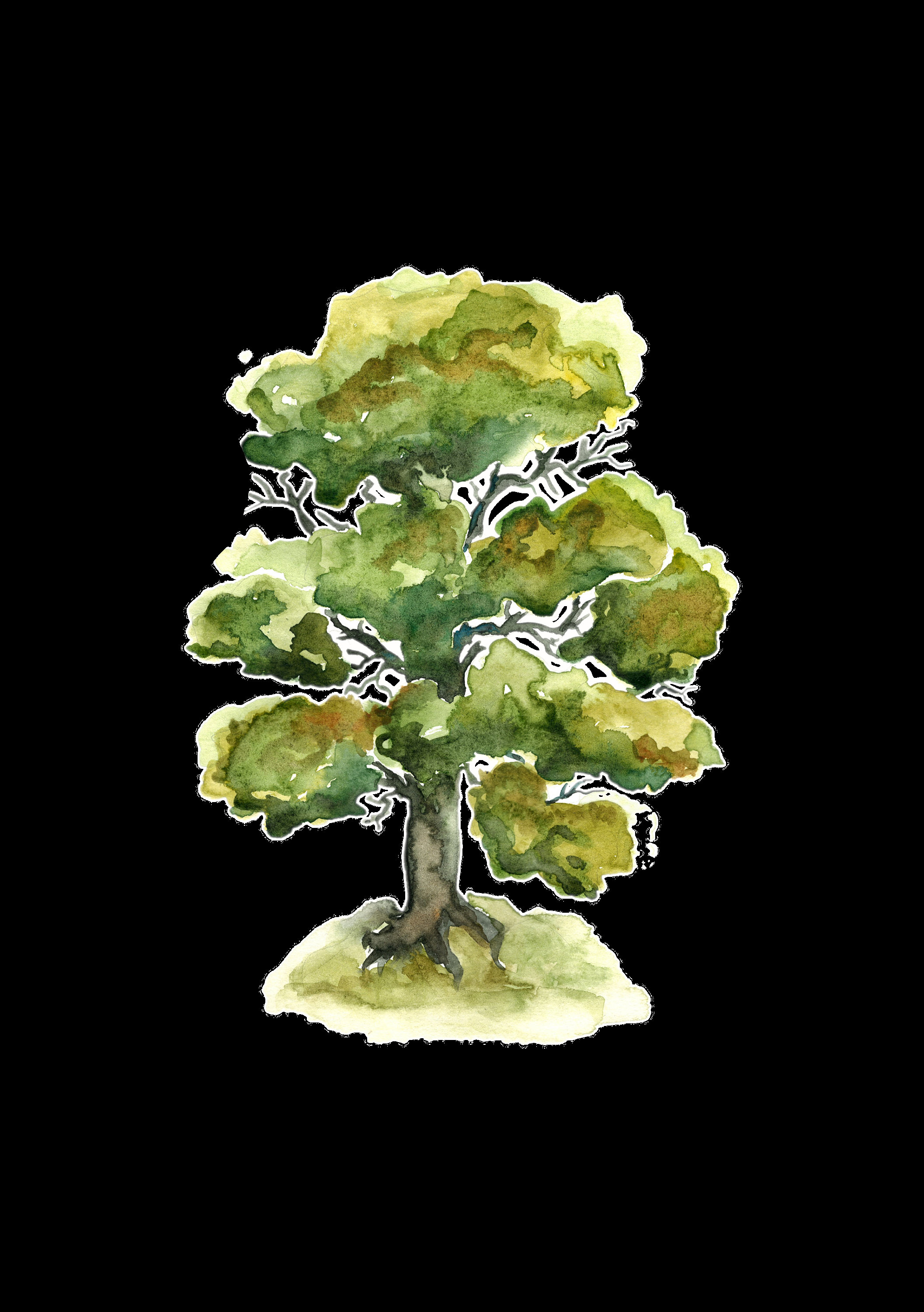 Printable Oak Tree Watercolor Art Digital Oak Tree Art Tree - Etsy