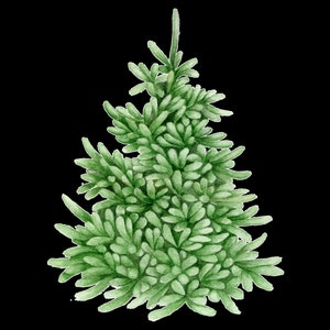 Printable Watercolor Christmas Tree Spruce Print Digital - Etsy