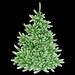 Printable Watercolor Christmas Tree Spruce Print Digital - Etsy