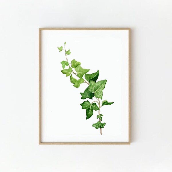 Ivy Print - Etsy