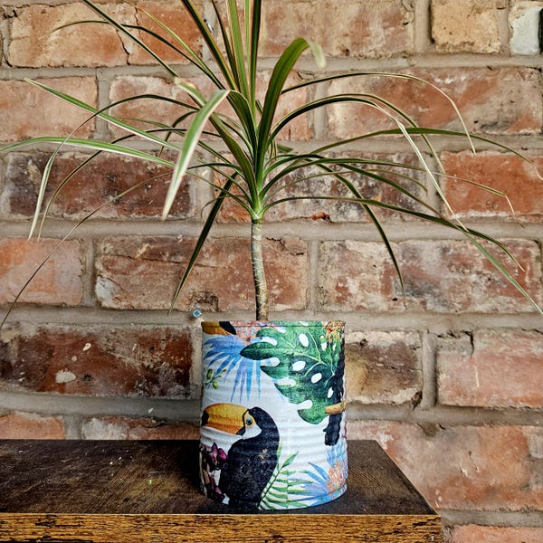 Indoor Plant Pot Birds - Etsy UK