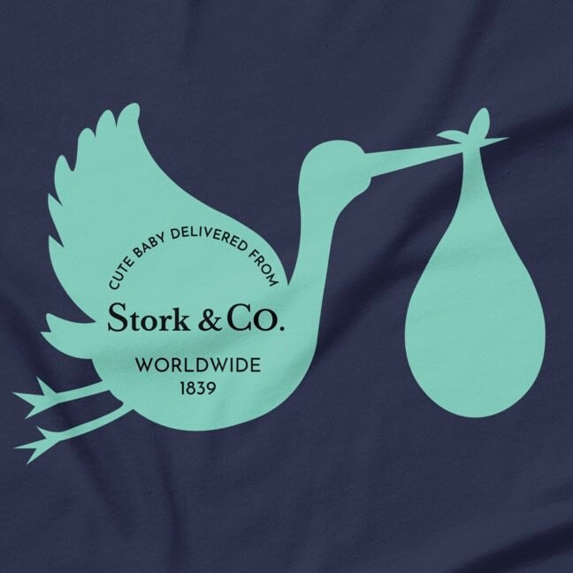 Stork and Co Shirt, Cute Pregnant Oversized Tee, New Mom Announcement ...