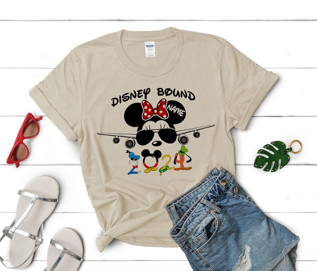 Disney Bound 2024 Shirts, Disney Airplane Shirt, Disney Bound Matching ...