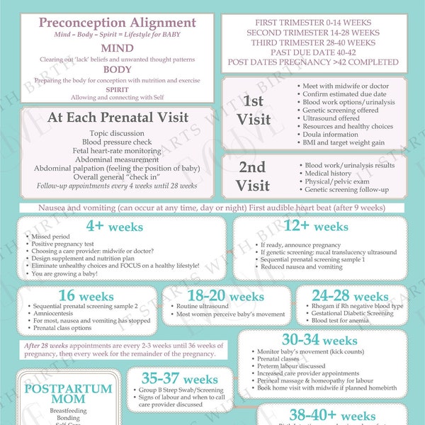 Baby Timeline - Etsy