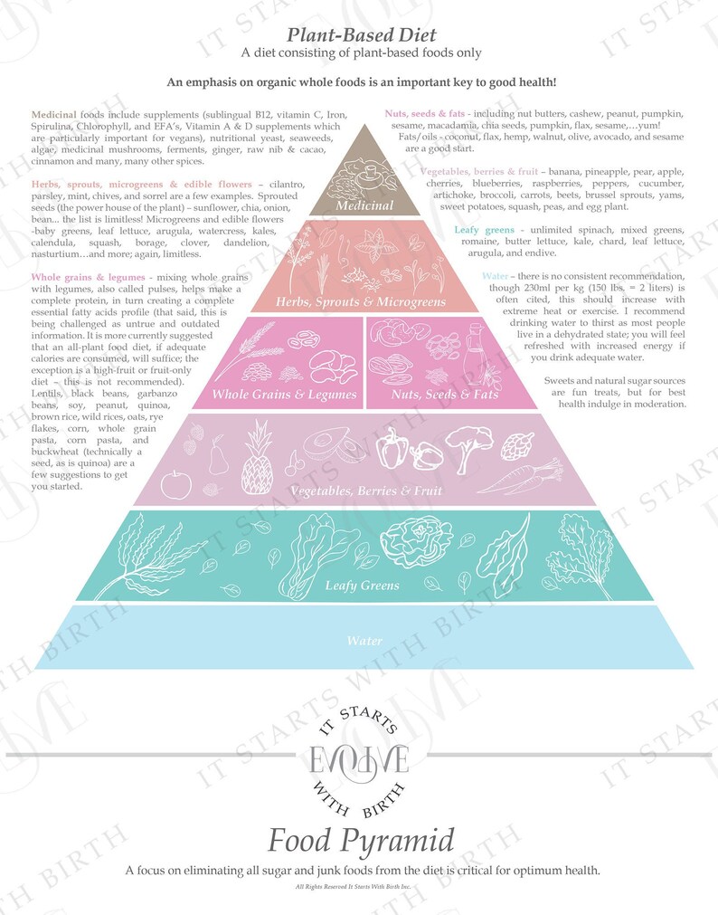 Plant Based Food Pyramid Designed for Parents - Etsy
