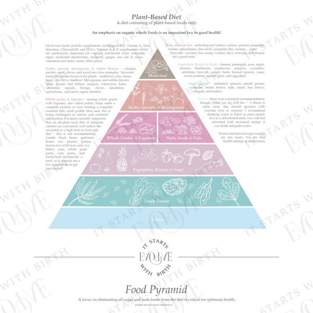 Nutrition Pyramid Plant Based: for Parents, Nutritionists, Birth ...