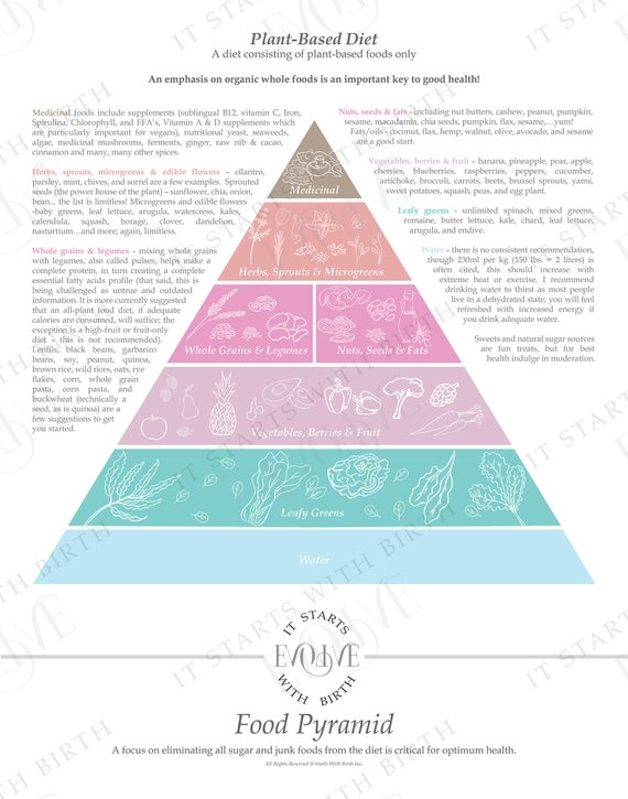 Nutrition Food Pyramid PLANT Based Diet 16x20 | Etsy