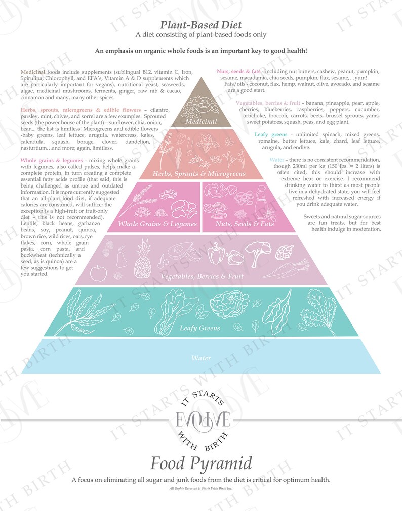 Nutrition Food Pyramid PLANT Based Diet 16x20 - Etsy