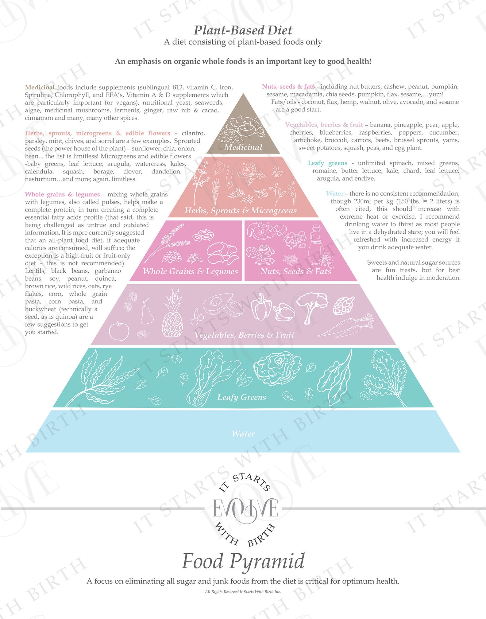 Nutrition Food Pyramid PLANT Based Diet 16x20 - Etsy