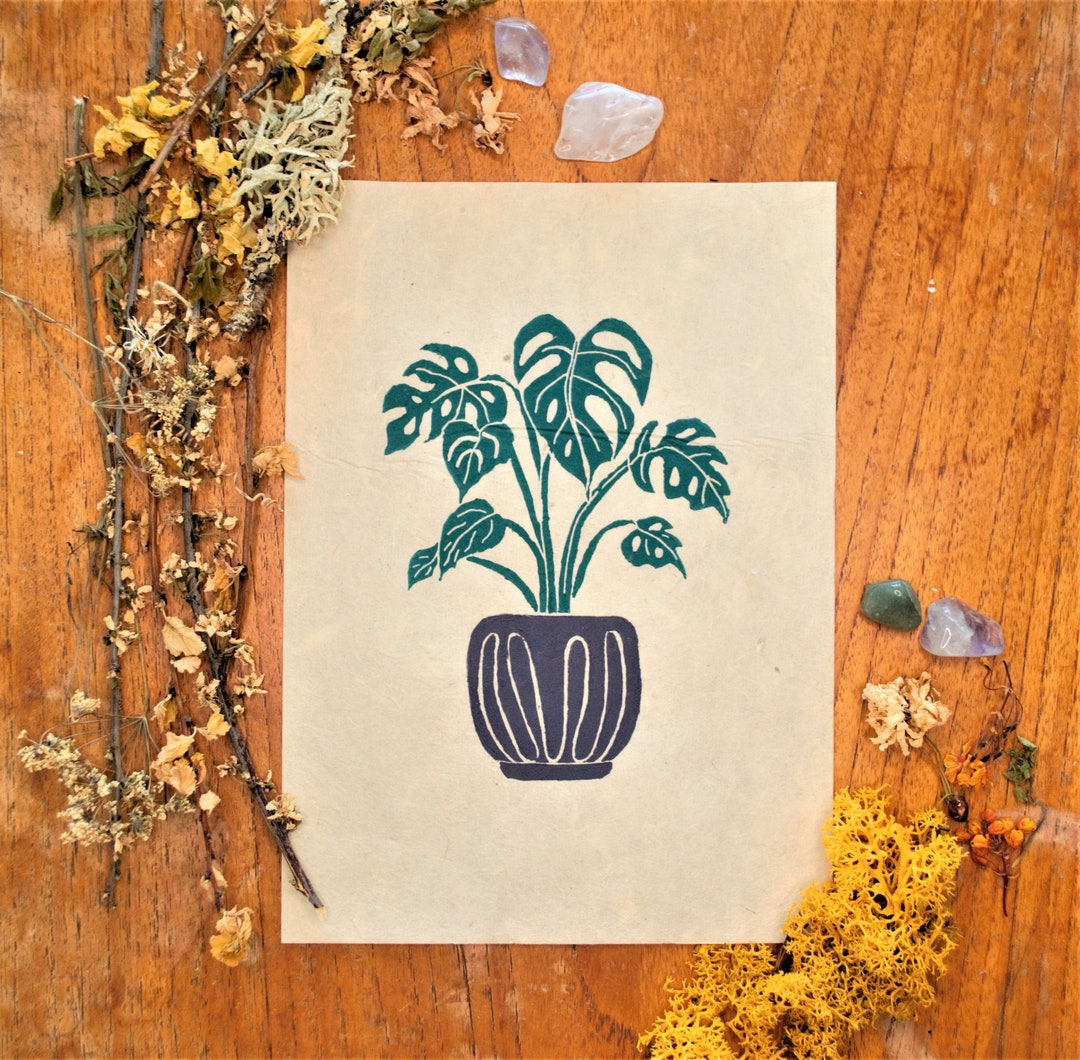 Cheese Plant Print - Etsy