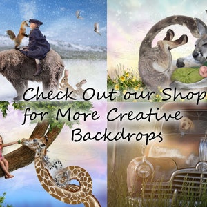 Rock A Bye Baby Zebra Newborn Digital Backdrop for Composite ...