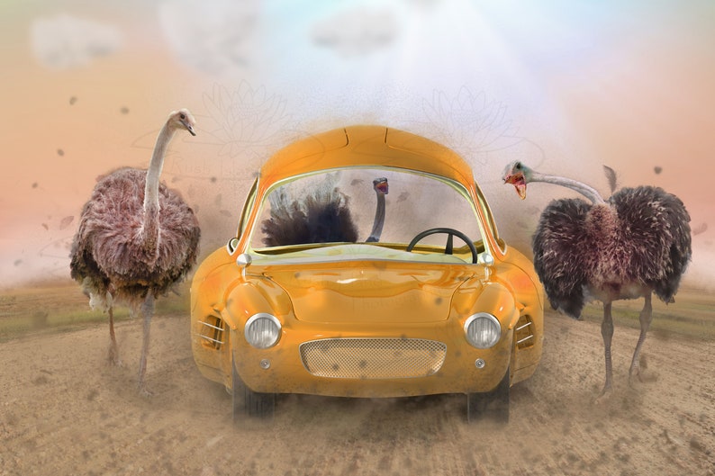 Ostrich Car Chase Digital Backdrop for Composite Photography | Etsy