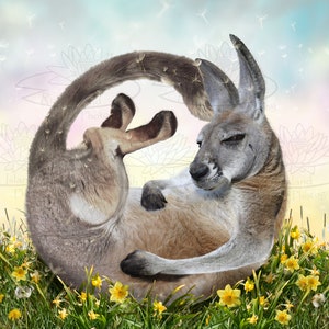 Rock A Bye Baby Kangaroo Digital Backdrop for Photography Composites ...