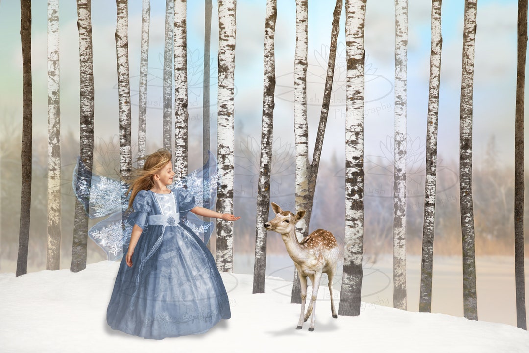 Winter Birch Trees Digital Backdrop for Composite Photography, Birch ...