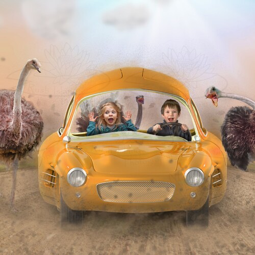 Ostrich Car Chase Digital Backdrop for Composite Photography | Etsy