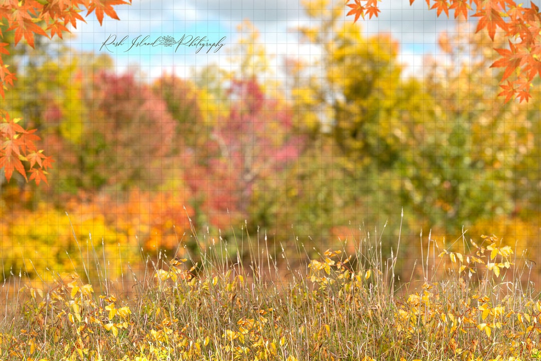 Colorful Fall Scene Digital Backdrop for Composite Photography With ...