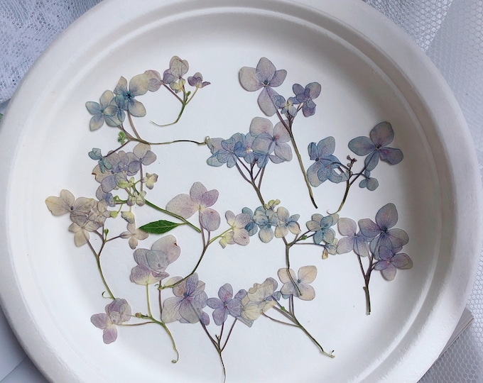 12PCS Real Pressed Dried Hydrangea Flower With Stem, Natural Pink ...
