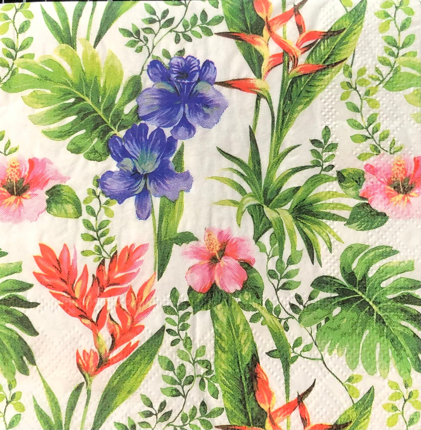 Tropical Flowers Tumblr