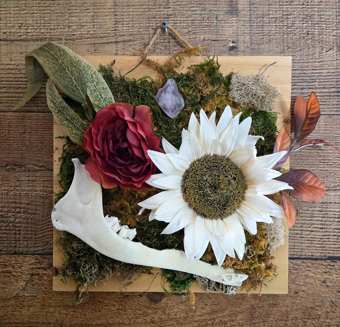 Woodland Cottagecore Deer Jaw Wall Art - Etsy