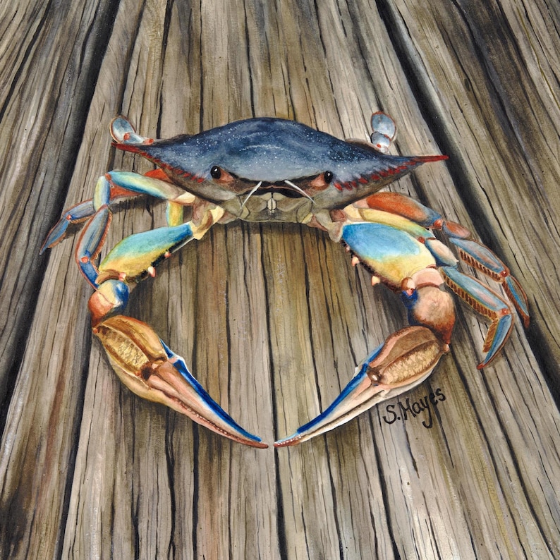 Watercolor Giclée Print: "blue Point Crab on Pier" by Sheila Hayes - Etsy