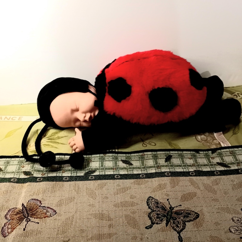 Ladybug Pillow Pet - Etsy