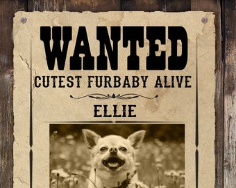 Pet Wanted Poster - Etsy