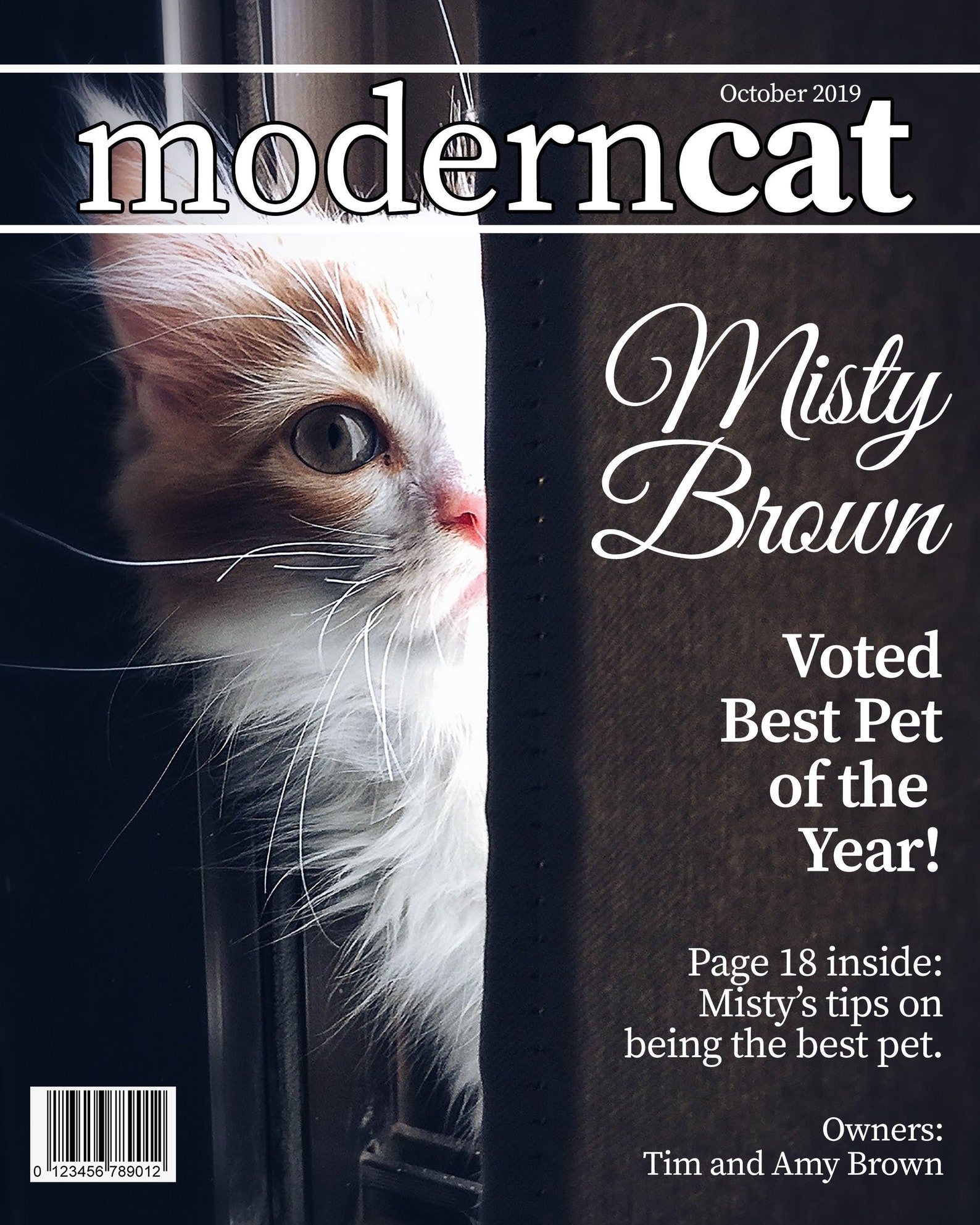 Custom Modern Cat Magazine Cover for Pet Lovers Keepsake for - Etsy