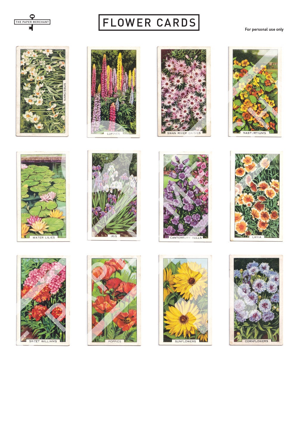 48 Vintage Flower Cards Digital Download Printable Ephemera Collage ...