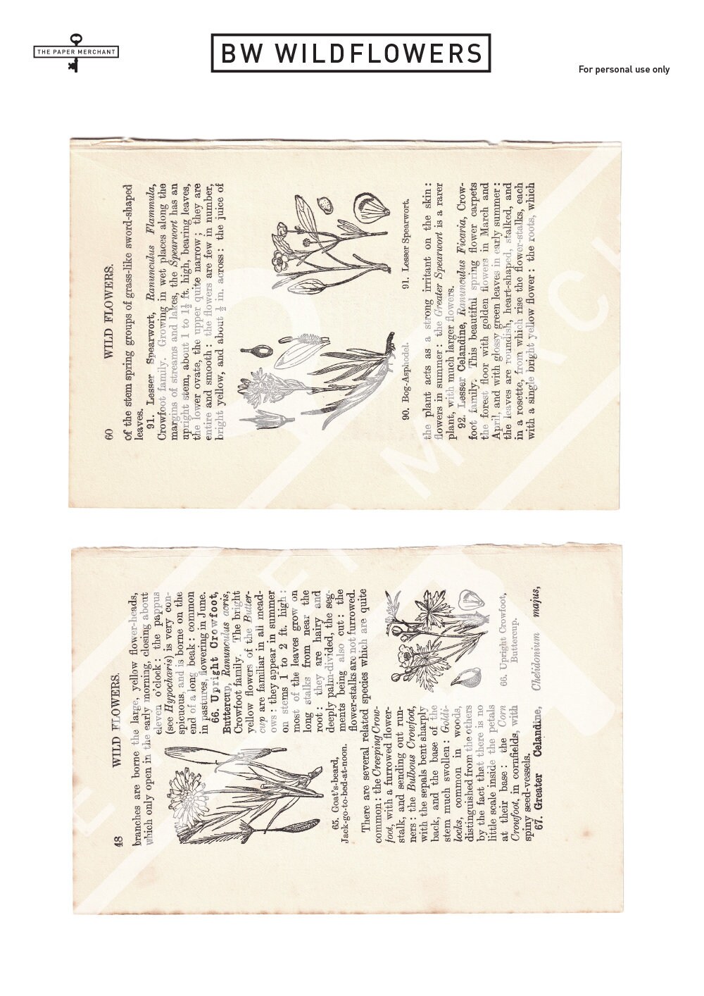 15 Vintage Wildflower Book Pages Digital Download Printable - Etsy