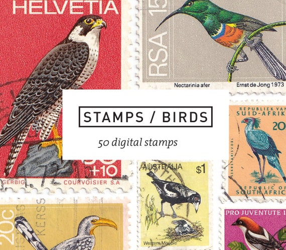 50 Vintage Bird Postage Stamps Digital Download Printable | Etsy