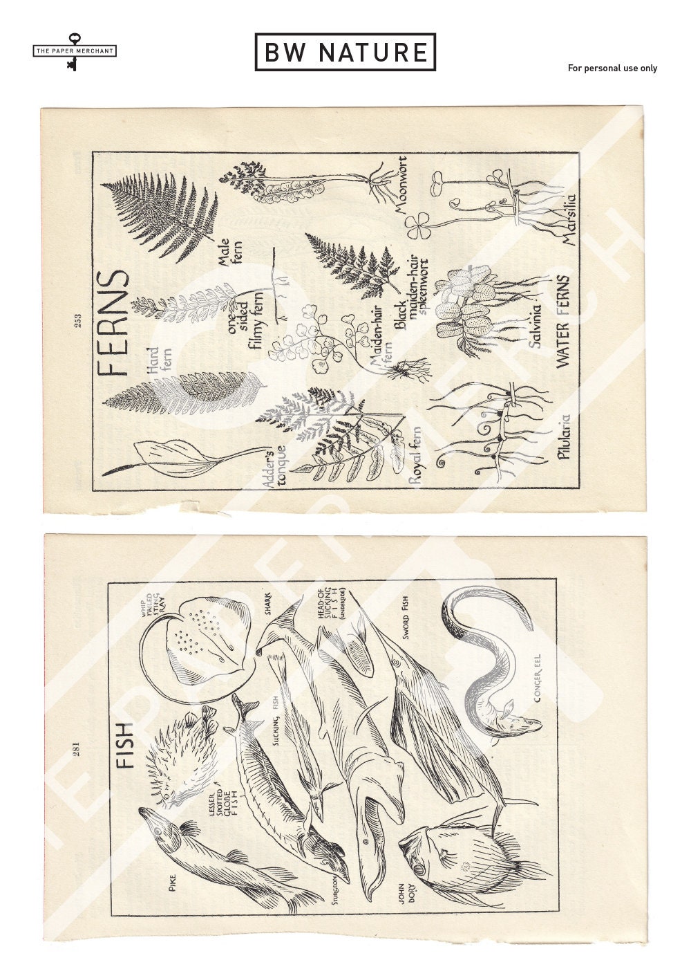 15 Vintage Nature Book Pages Digital Download Printable - Etsy