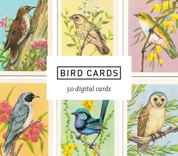 50 vintage Australian bird cards digital download printable | Etsy