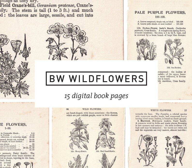 15 Vintage Wildflower Book Pages Digital Download Printable - Etsy
