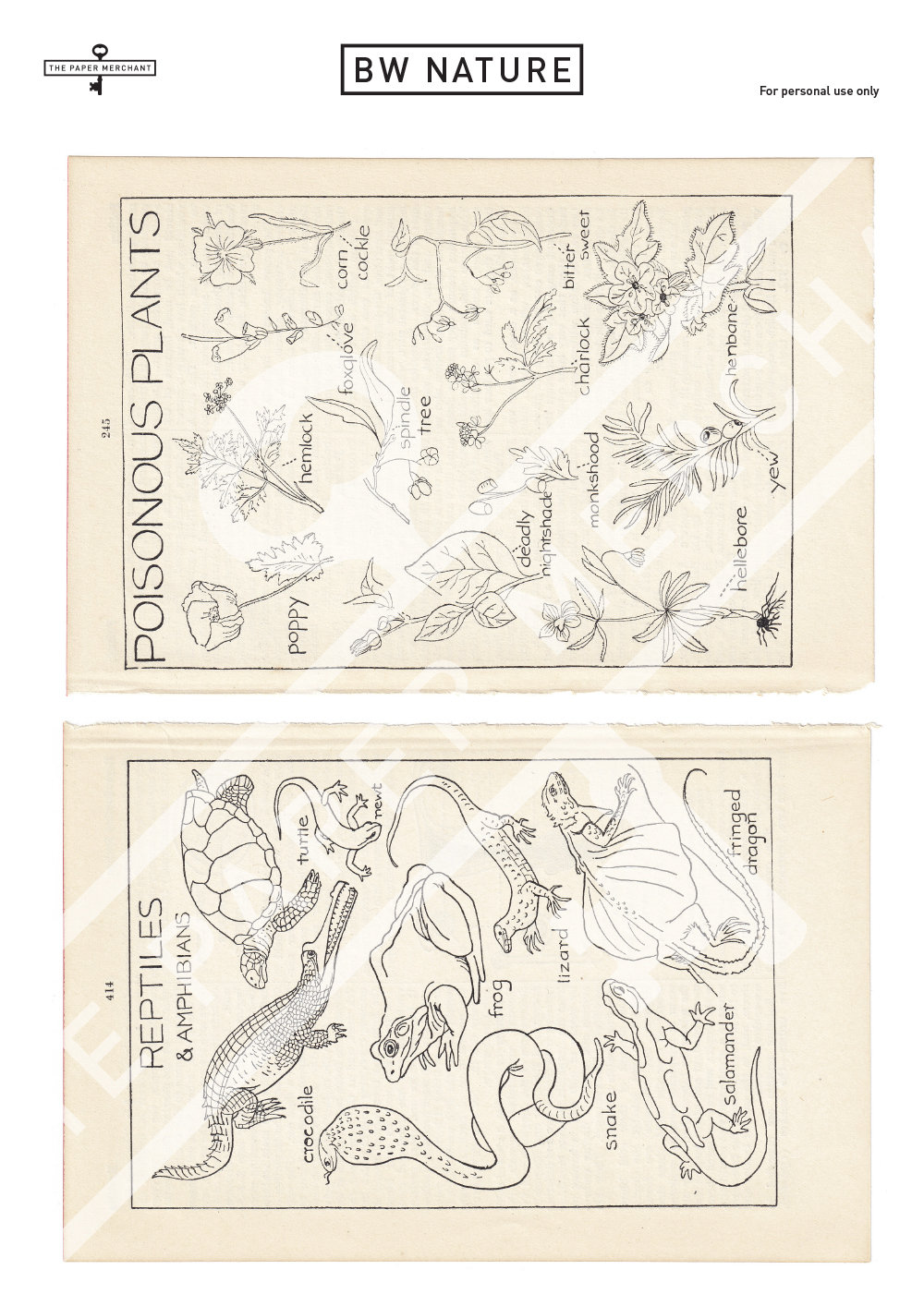 15 Vintage Nature Book Pages Digital Download Printable - Etsy