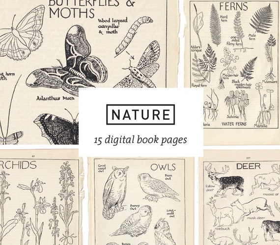 Naturebook Page