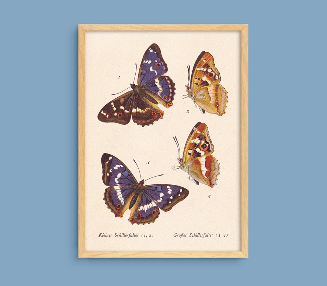 Antique Butterfly Print 4 Digital Download Printable Vintage Gallery ...