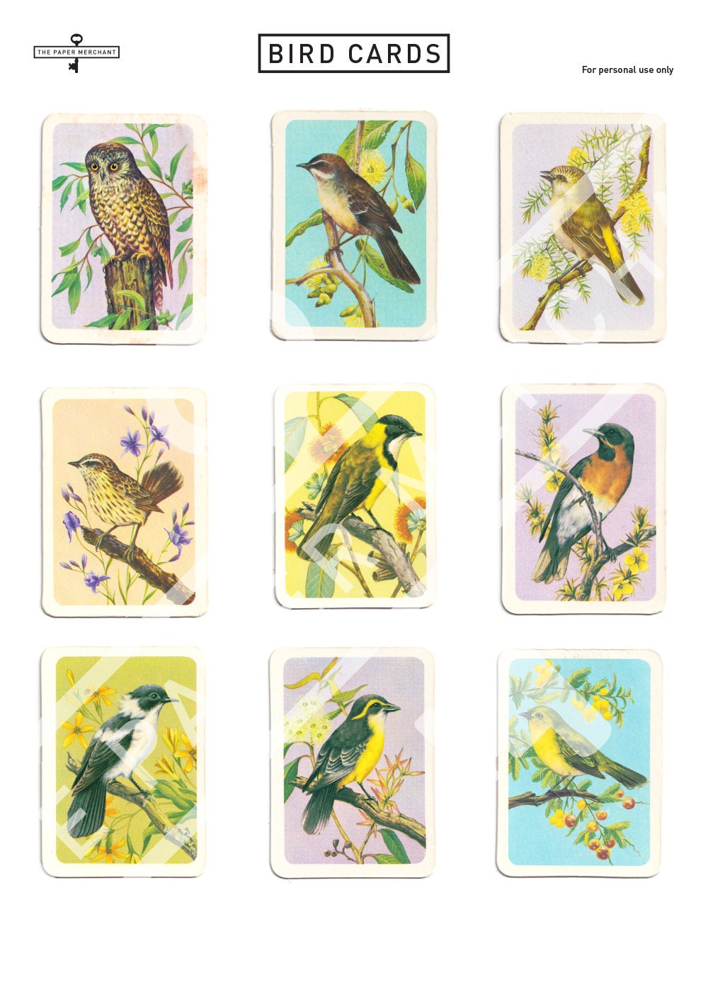 50 Vintage Australian Bird Cards Digital Download Printable Ephemera ...