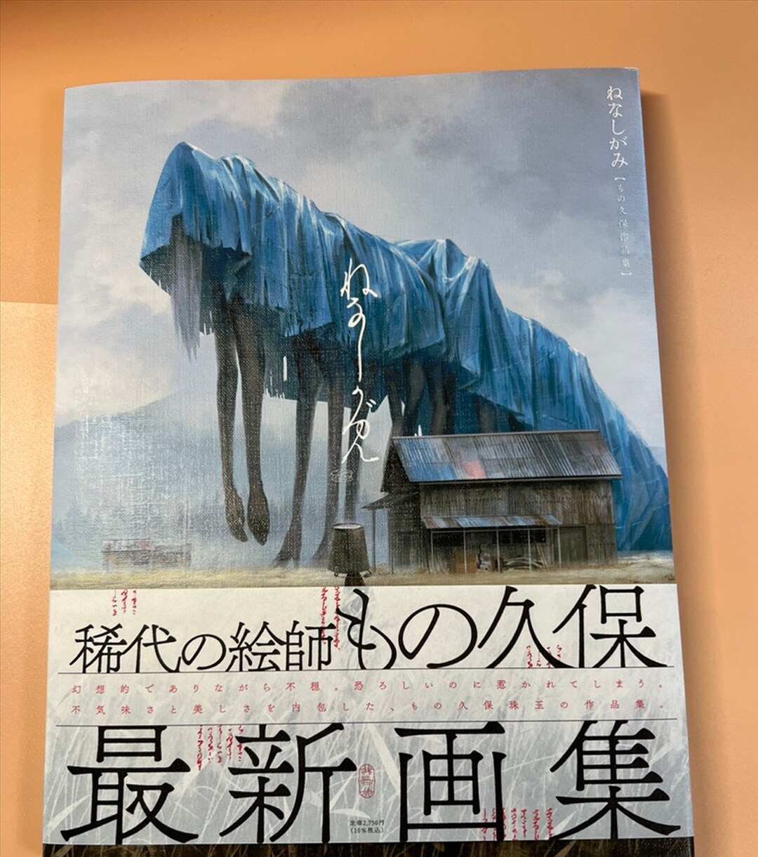 Nenashigami Monokubo Art Works Book Mono Kubo Disturbing Illustrations ...
