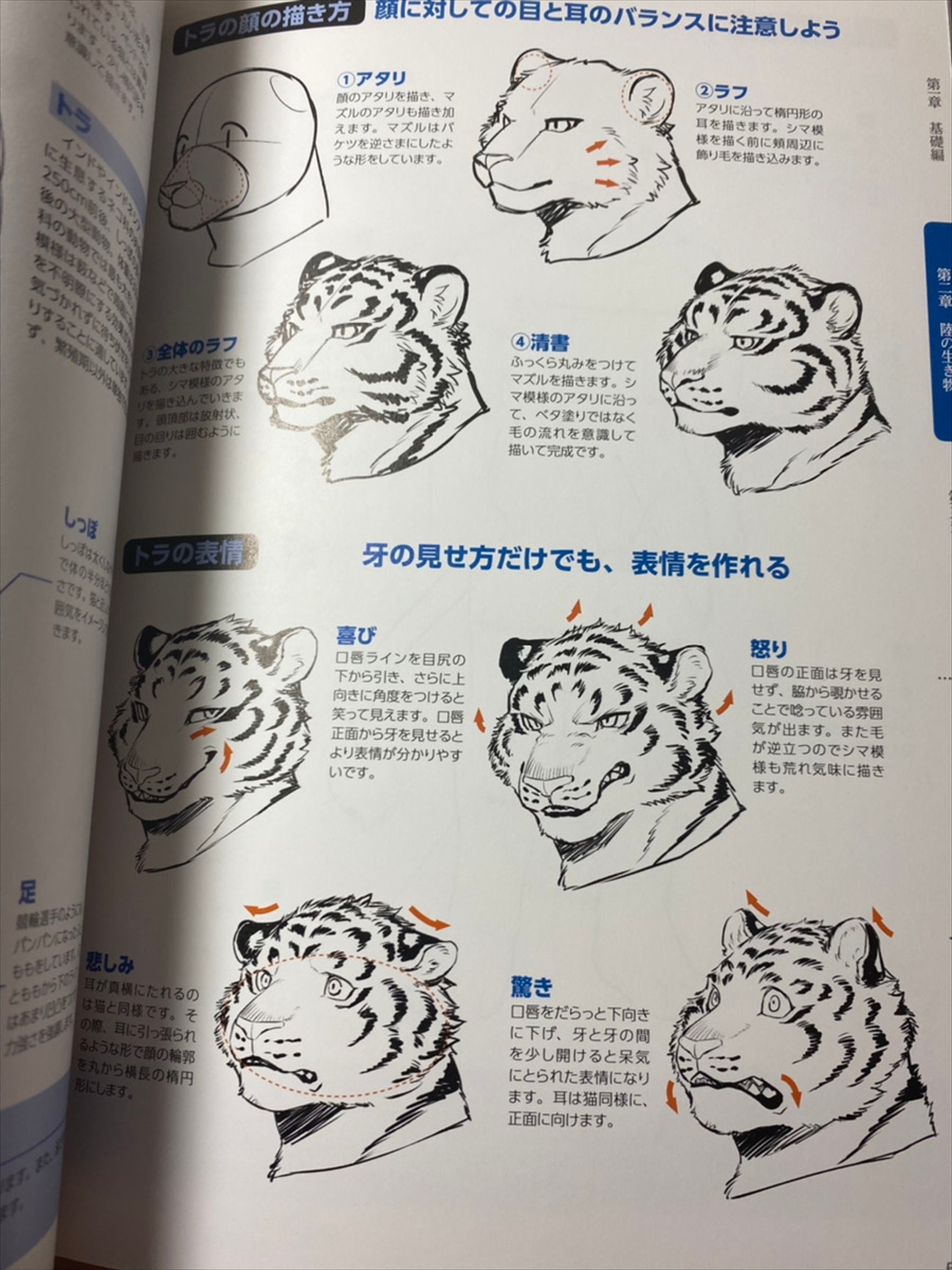 How to Draw Kemono Character Japan Furry Anime Manga Guide Art - Etsy ...
