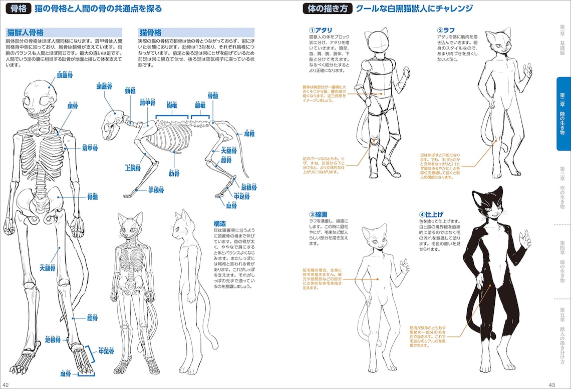 How to Draw Kemono Character Japan Furry Anime Manga Guide Art | Etsy