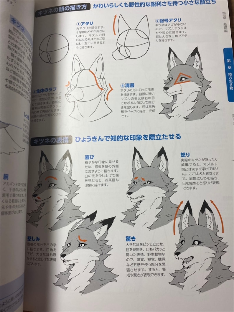 How to Draw Kemono Character Japan Furry Anime Manga Guide Art - Etsy
